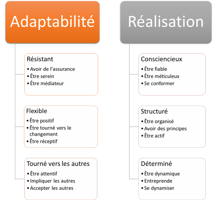Tests de Personnalité et de Motivations de Saville expliqués